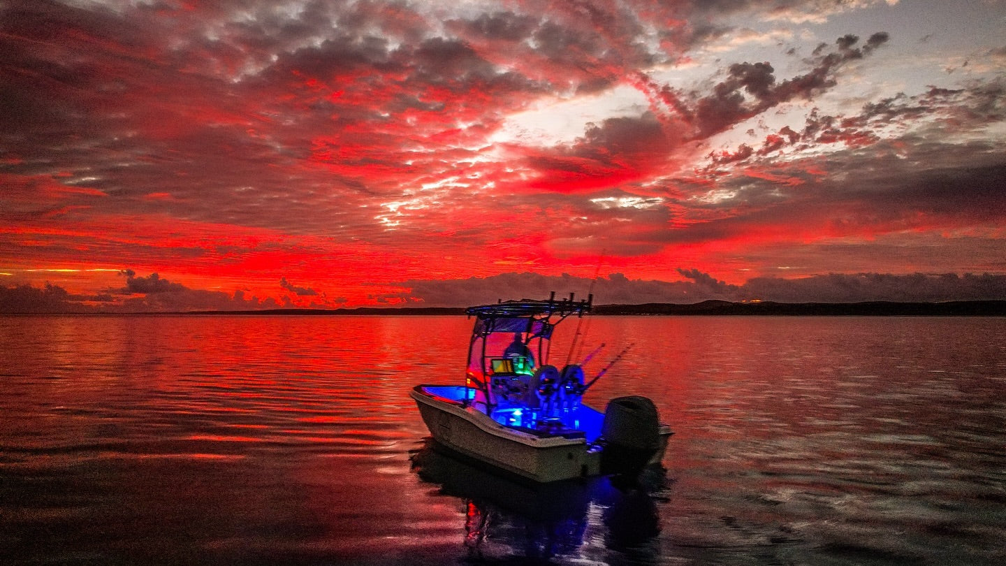 T-Top Enclosures - Oceansouth